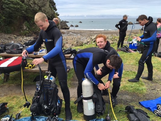 MARIN DIVING CENTER - Updated December 2025 - 27 Photos & 68 Reviews - 3765 Redwood Hwy, San ...