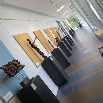 PARMAN LIBRARY AT STONE OAK - Updated September 2025 - 52 Photos & 37 ...