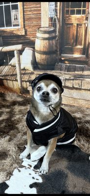 EDINBURGH ANIMAL HOSPITAL - Updated July 2025 - 32 Photos & 43 Reviews ...