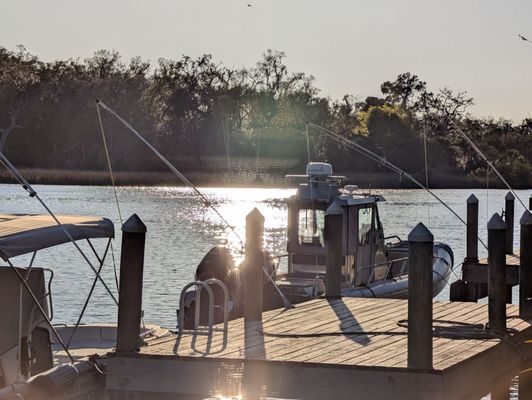 CRYSTAL RIVER PRESERVE STATE PARK - Updated July 2025 - 13 Photos ...