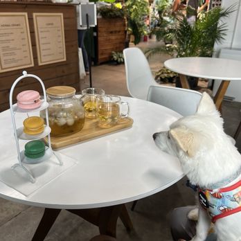 PLANTOEM - Updated October 2024 - 495 Photos & 105 Reviews - 3457 ...