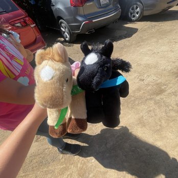 RAWHIDE RANCH - Updated December 2025 - 74 Photos & 38 Reviews - 6987 W ...