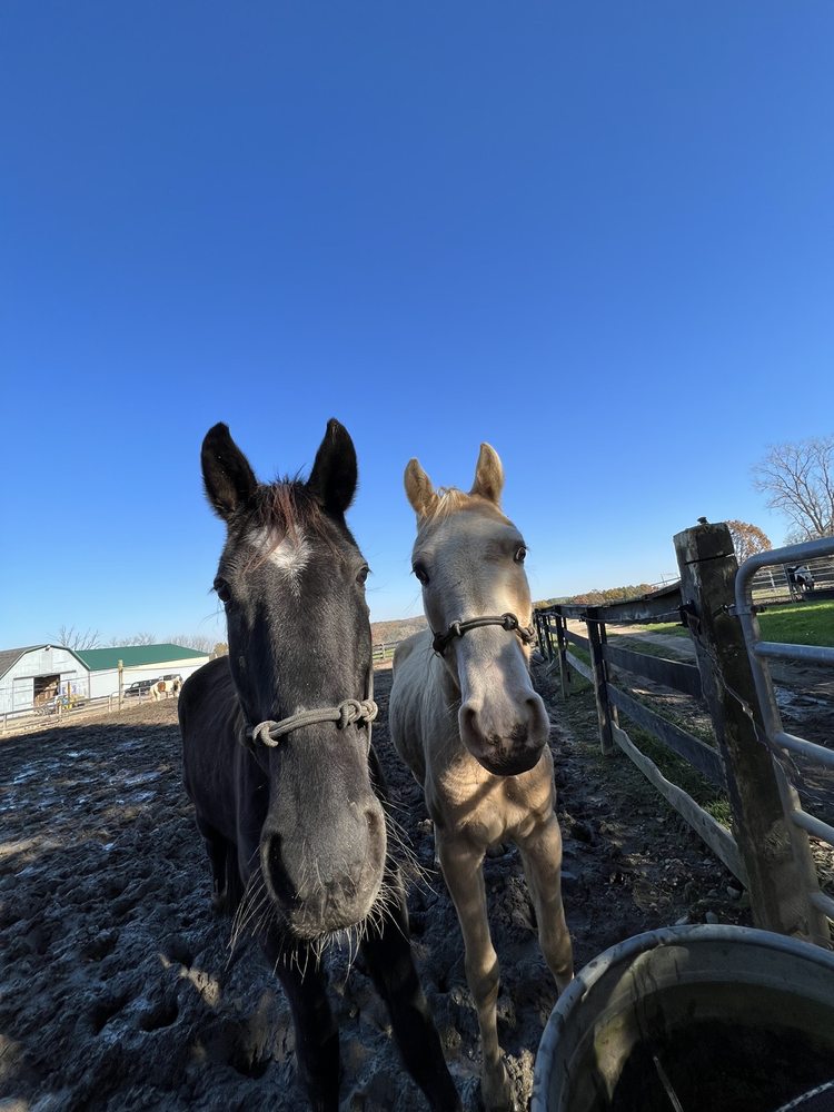 WINDWALKER FARMS - Updated December 2025 - 13 Photos - 9204 Valley View ...