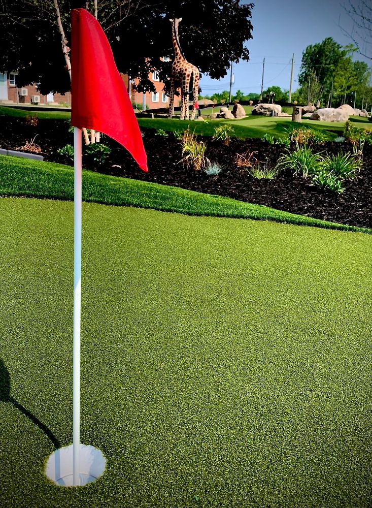 PUTTING ZOO - Updated January 2026 - 79 Elm Street, St. Thomas, Ontario ...