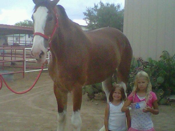 BROKEN M RANCH - Updated September 2025 - 13 Reviews - 2913 Gun Club Rd ...