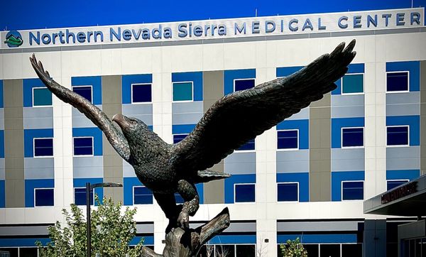 NORTHERN NEVADA SIERRA MEDICAL CENTER - Updated December 2025 - 46 ...