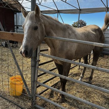 PEZZA FARM AND GARDEN CENTER - Updated October 2025 - 64 Photos & 18 ...