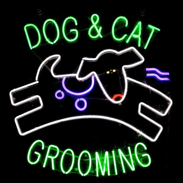 BLUE RIBBON DOG & CAT GROOMING - 6255 Leonard Ave, Downers Grove ...