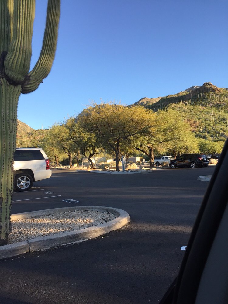 VENTANA CANYON HIKING TRAIL - 67 Photos & 25 Reviews - 7000 N Resort Dr ...