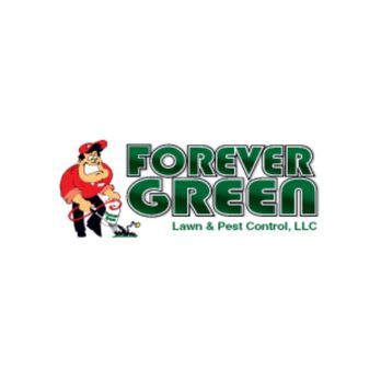 FOREVER GREEN LAWN AND PEST CONTROL Updated February 2025 17 Photos 15 Reviews 6320 39th St N Pinellas Park Florida Pest Control Phone Number Yelp