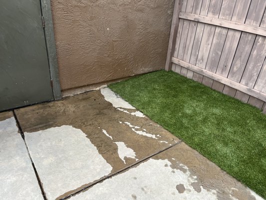 BIG BULLY TURF - 25 Photos & 11 Reviews - 350 Tenth Ave, San Diego ...