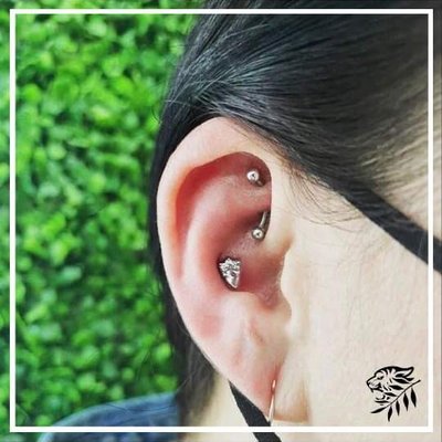 THE FANG AND FLOWER TATTOO AND PIERCING STUDIO - Updated May 2024 - 795 ...