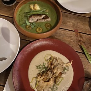 TIERRA DEL SOL - 163 Photos & 44 Reviews - Reforma 411, Oaxaca, Mexico ...