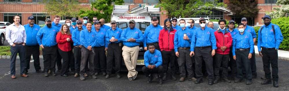 VIKING PEST CONTROL - Updated October 2025 - 51 Photos & 24 Reviews ...