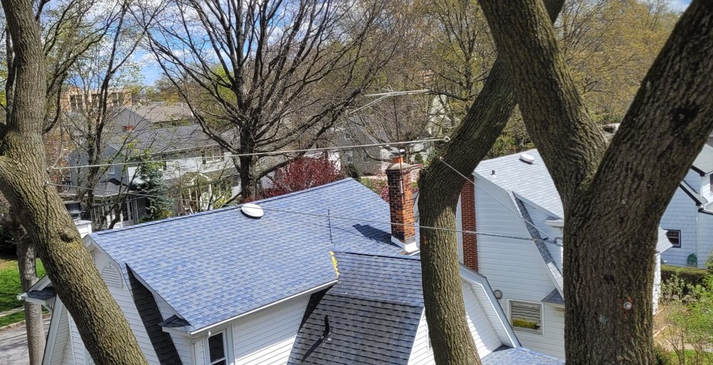 PIKE TREE & LANDSCAPE SERVICE - Updated December 2025 - 59 Shore Rd ...