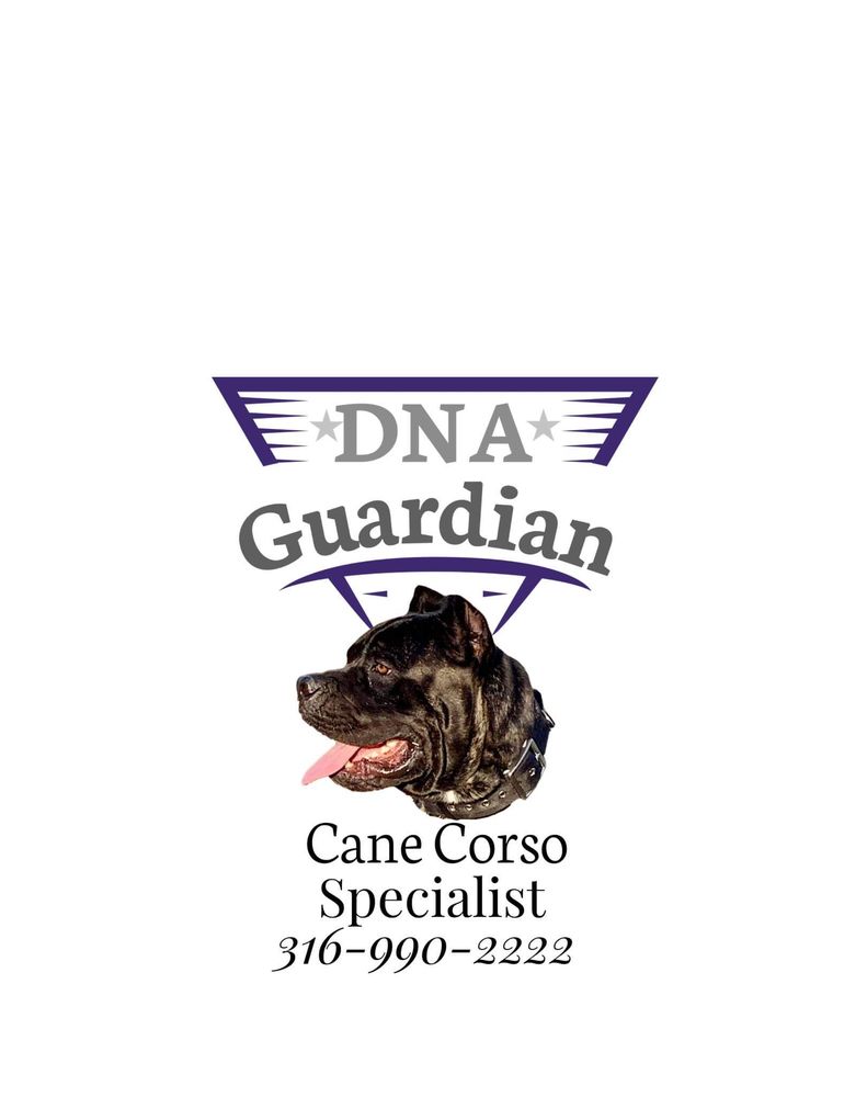 DNA GUARDIAN CANE CORSO - Updated July 2025 - Wichita, Kansas - Pet ...