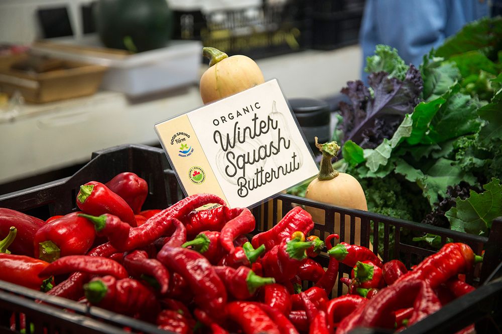 GOOD SPRING FARM - Updated August 2025 - 18 Photos - 730 Route 616 ...