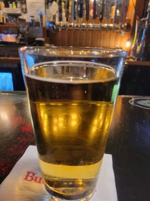 THE BLUE FOX - Updated August 2025 - 16 Photos & 37 Reviews - 3461 E ...