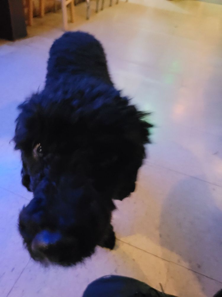 SILVER SPUR BAR & LOUNGE - Updated September 2025 - 408 Dayton St ...