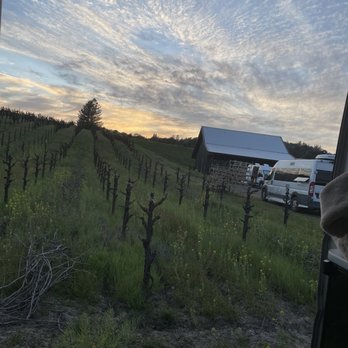 TESTA VINEYARDS - Updated December 2025 - 113 Photos & 49 Reviews ...