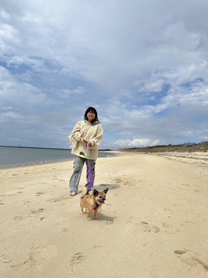 HIGBEE BEACH WILDLIFE MANAGEMENT AREA - Updated October 2025 - 90 ...