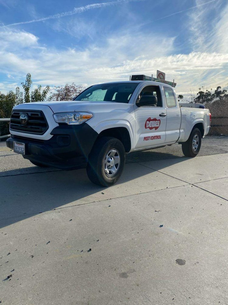 DEWEY PEST & TERMITE CONTROL - Updated February 2025 - 13 Photos & 106 ...