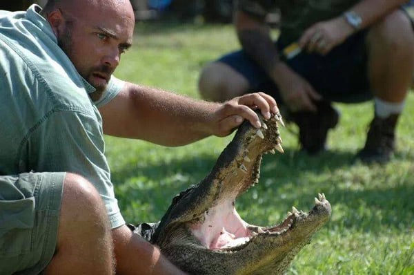 FAWC: FREESTYLE ALLIGATOR WRESTLING COMPETITION - Updated May 2024 - 25 ...