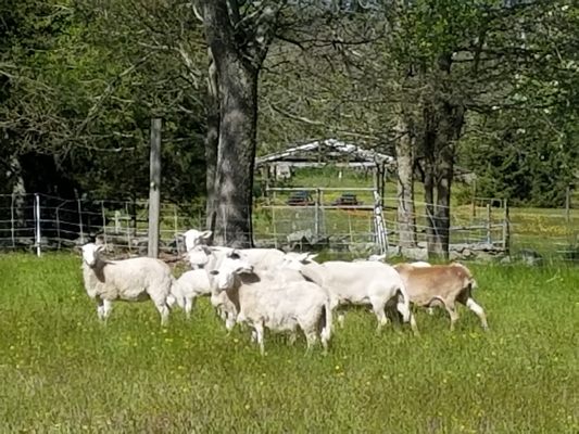 THE SILVERBROOK FARM - Updated October 2024 - 19 Photos & 11 Reviews ...