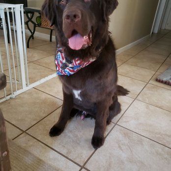 WAGGIN’ WEST KENNELS AND GROOMING CENTER - Updated May 2026 - 40 Photos ...