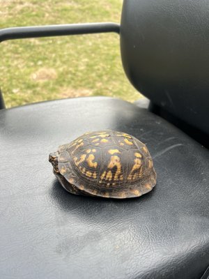 VINNYLINKS GOLF COURSE - Updated August 2025 - 98 Photos & 14 Reviews ...