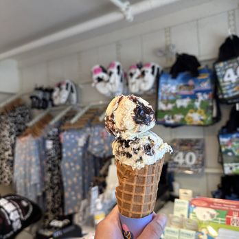 COWS - Updated June 2024 - 292 Photos & 167 Reviews - 138 Banff Avenue ...