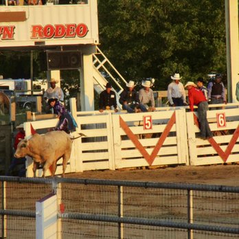 COWTOWN RODEO - Updated October 2025 - 117 Photos & 42 Reviews - 780 Rt ...