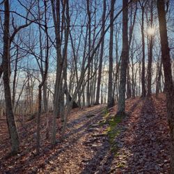 Best Scenic Views Near Me - July 2024: Find Nearby Scenic Views Reviews ...