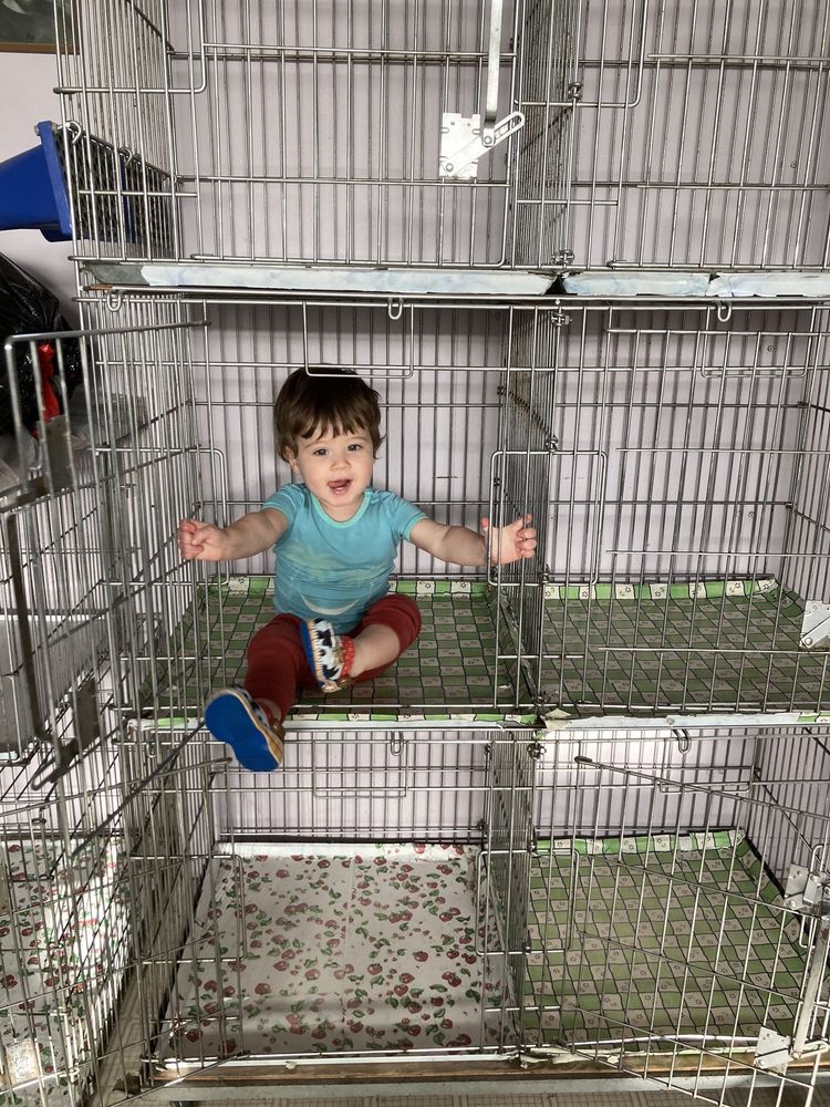 K-9 TUBS - Updated January 2026 - 16 Photos & 31 Reviews - 2524 ...