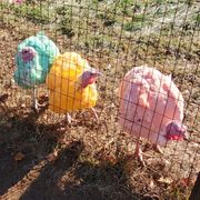 GOZZI’S TURKEY FARMS - 52 Photos & 23 Reviews - 2443 Boston Post Rd ...