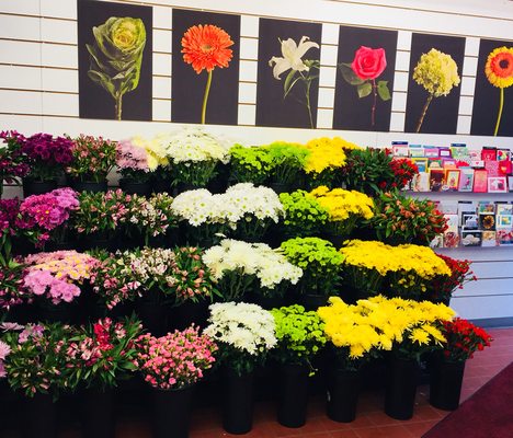 WESTCOTT FLORIST - Updated June 2025 - 41 Photos & 27 Reviews - 548 ...