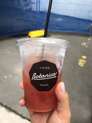 DUTCH SMUGGLER - Updated May 2024 - 11 Photos - 200 George St, Sydney ...