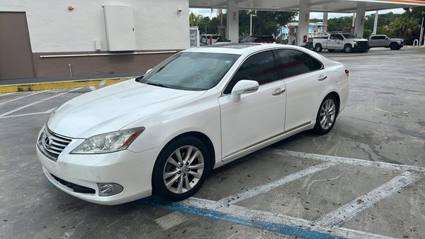 SEA THE KEYS - Updated August 2025 - 12 Photos - Key Largo, Florida ...