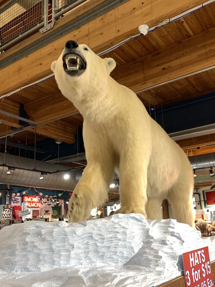 THE OUTLET STORE - 21 Photos & 13 Reviews - 5 Salmon Lndg, Ketchikan ...