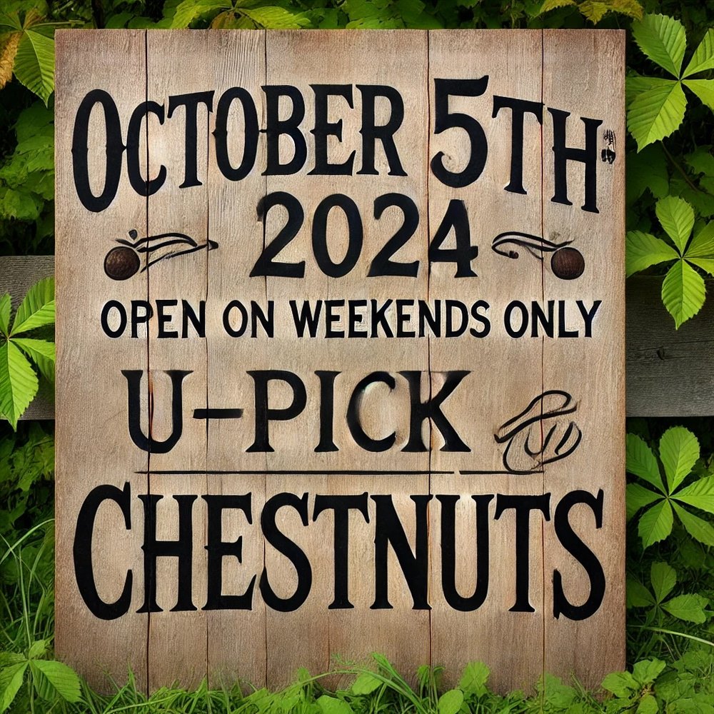 U-PICK CHESTNUTS - TEMP. CLOSED - Updated December 2025 - 43 Photos ...