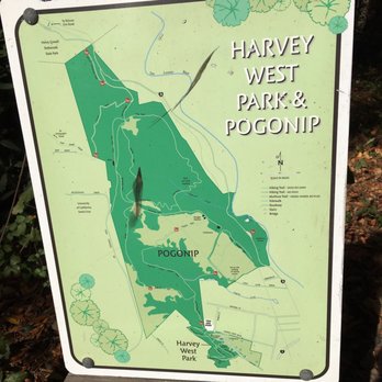 POGONIP - Updated September 2024 - 225 Photos & 40 Reviews - 333 Golf ...