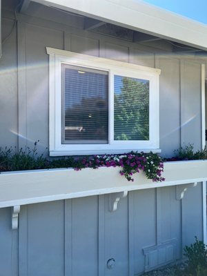 FORREST WINDOWS - Updated August 2025 - 139 Photos & 80 Reviews - 6140 ...