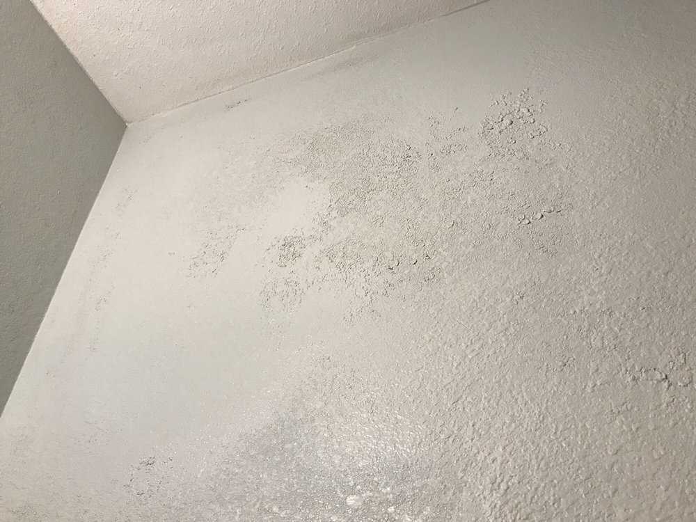 PAINTING PAR EXCELLENCE - Updated December 2025 - Seattle, Washington ...