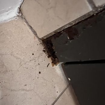 HILTON MELBOURNE, FL - Updated September 2024 - 241 Photos & 102 ...