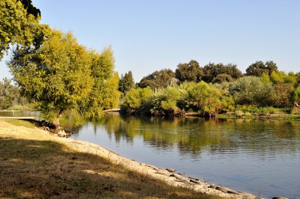 KINGS RIVER RV RESORT - Updated June 2025 - 47 Photos & 30 Reviews ...