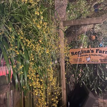 REGINA’S FARM - Updated August 2024 - 761 Photos & 129 Reviews - 1101 ...