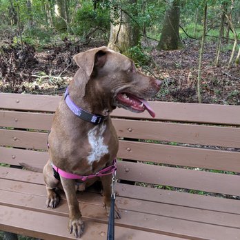 NORTH CHARLESTON WANNAMAKER COUNTY PARK - Updated May 2026 - 134 Photos ...