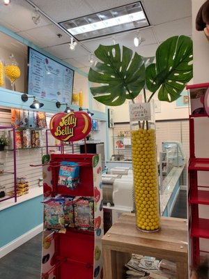 CANDY GRANDY - Updated December 2025 - 18 Photos - 1790 9th St N ...