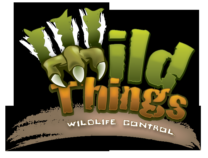 WILD THINGS WILDLIFE CONTROL - Updated July 2025 - 21 Photos - Fort Myers, Florida - Wildlife ...