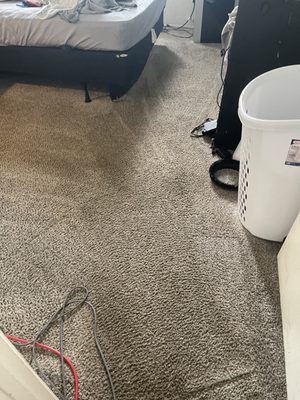 CARPET MUNCHERS CARPET CLEANERS - Updated July 2025 - 13 Photos - San ...